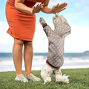 Dog Hoodies Dog Winter Coat Classic Designer Dog Coats Luxury Dog Coats Small Dog Coats Warm Pet Dog Coat Zipper Design Easy On/Off Puppy Coats Teddy Coats Chihuahua Clothes French Bulldog Clothes S