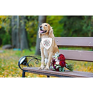 Ptzizi Funny My Humans are Getting Married White Pet Dog Bandana Bibs Scarf, Wedding Photo Prop Pet Accessories for Dog Lovers Gift