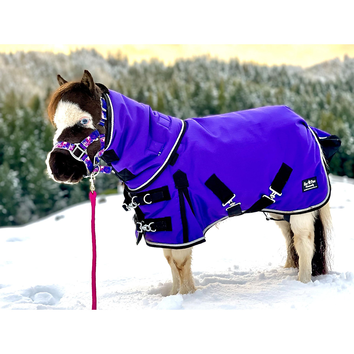 Star Point Horsemanship Mini-Pony Horse Ripstop Waterproof Windproof Blanket Hooded Lightweight Turnout Rain Sheet Breathable Lining 1200 Denier Material 220 Fill (46-48", Teal)