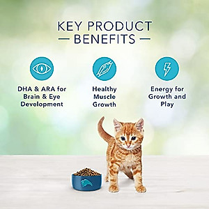 Blue Buffalo Freedom Grain Free Natural Indoor Kitten Dry Cat Food, Chicken 5-lb