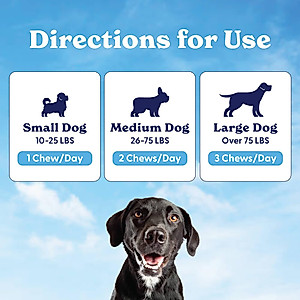 Origin Labs - Revive Mobility Hip & Joint Support Beef Soft Chews for Dogs | Glucosamine Chondroitin MSM & Green Lipped Mussels | Grain & Corn Free, 90 Count