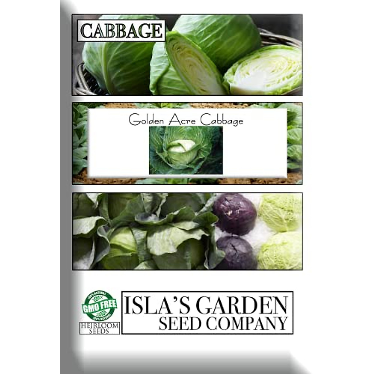 Golden Acre Cabbage Seeds for Planting, 500+ Heirloom Seeds Per Packet, (Isla's Garden Seeds), Non GMO Seeds, Botanical Name: Brassica oleracea