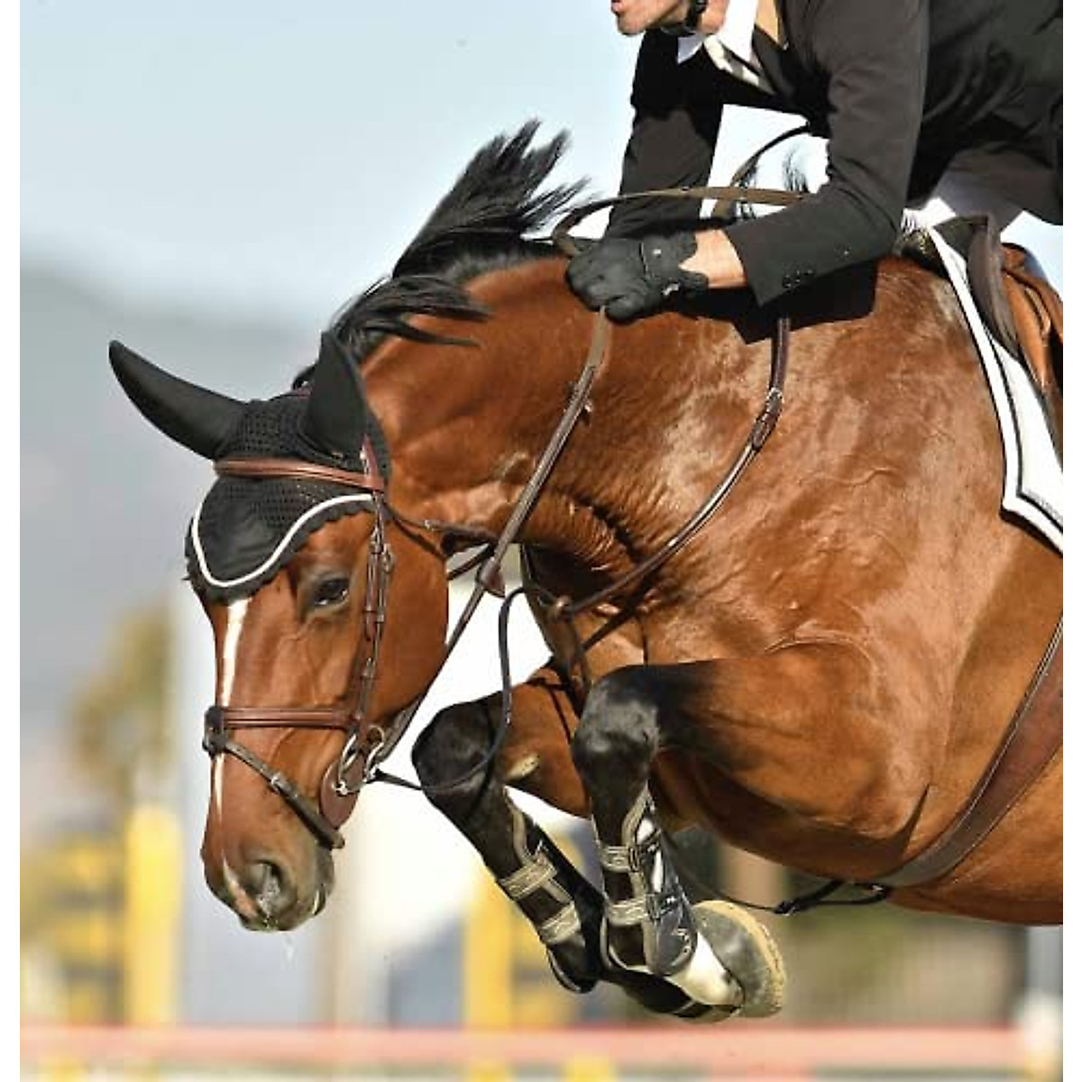 Plughz Horse Sound Off Ear Net, Soundless Bonnet (Black)