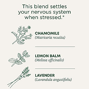 Traditional Medicinals Tea, Organic Chamomile & Lavendar, Stress Relief, 96 Tea Bags (6 Pack)