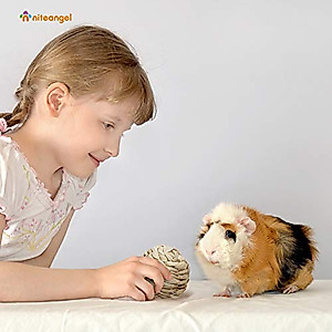 Niteangel Natural Chew Activity Toys Fun Safe Hay Grass Pet Balls for Chinchilla Guinea Pig Rats Rabbits Hamster Gerbil Degu Bunny and Other Small Animals