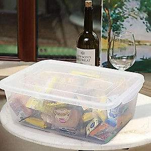 Morcte 4-Pack 14 L Plastic Storage Box, Clear Storage Bin