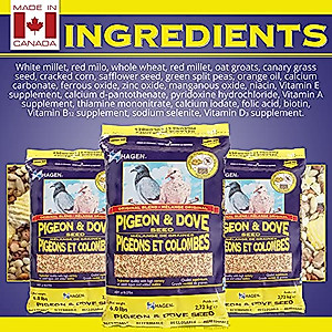Hagen Pigeon & Dove Seed, Nutritionally Complete Bird Food, original version, 6 Pound (Pack of 1) (B2704)