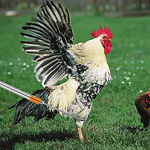 Scalable Chicken Catcher Leg Hook Tool Kit Chicken Net Catcher Small Animals Catching Net Suitable for Catching Fish, Outdoor Poultry