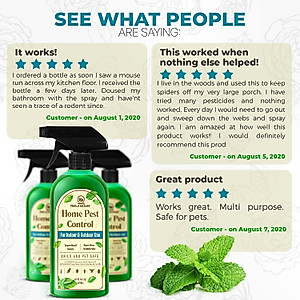 NATURAL OUST Peppermint Oil Mouse Repellent Spray - Roach Ant Spider Bug Insect Killer - Eco Friendly Pest Control to Repel Mice - Humane Repeller Alternative to Trap