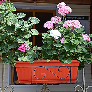 Elcoho 6 Pack Flower Window Box Planters 17 Inches Plastic Vegetable Plant Pot Rectangular Planters with Trays for Windowsill, Patio, Porch, Garden, Home Decor (Red)