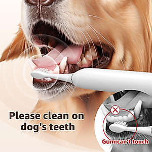 LOOBANI 2 Packs Dog Tooth Brush Replacement - Compatible LBHC001 Dog Tooth Cleaner, White