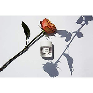 OUAI North Bondi Eau de Parfum. An Elegant Perfume Perfect for Everyday Wear. The Fresh Floral Scent has Notes of Lemon, Jasmine and Bergamot, and Delicate Hints of Viotel and White Musk (1.7 oz)…