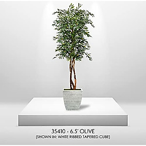 Hand-Made 6.5' Olive Artificial Tree with Ethically Sourced Real Wood Trunks | Green | Cypress & Alabaster