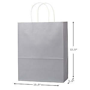 Hallmark 12" Large Paper Gift Bag Assortment, Pack of 12 in Pastel Pink, Lavender, Blue, Grey, Kraft - Solids and Patterns for Birthdays, Easter, Mother's Day and More