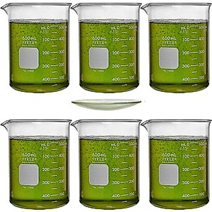 Corning Pyrex 1000-600, 600ml Low Form Griffin Beaker with Pyrex 9985-100, 100mm Pyrex Watch Glass (Pack of 6)