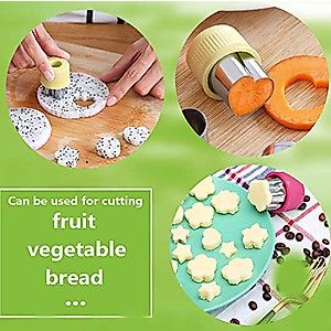 Cutter Shapes Set Different Sizes Cookie Cutters Set Fruit Cookie Pastry Stamps Mold