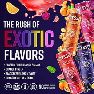 ODYSSEY ELIXIR Sparkling Mushroom Drink with Lions Mane and Cordyceps Adaptogenic Mushrooms, L Theanine and Green Tea Caffeine for Energy and Focus, 12 Fl oz, Variety Pack, 12 Cans