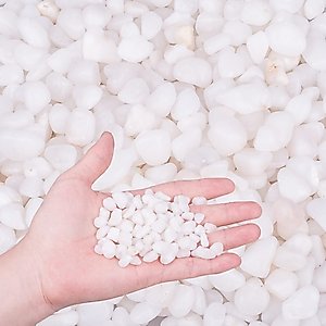 GRANDAN 1.9 LB Polished Pebbles 3/8", Gravel Size Natural Decorative Smooth White River Rocks, Small Pebble Stone for Landscaping, Succulent, Bonsai, Potted Plants, Aquarium, Fairy Garden