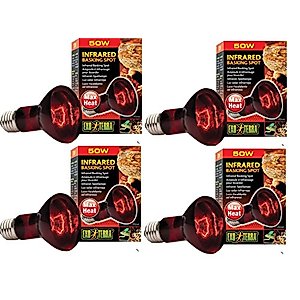 Exo Terra Heat-Glo Infrared Spot Lamp, 50-Watt/120-Volt (4 Pack)