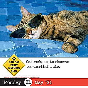 Bad Cat Page-A-Day Calendar 2021