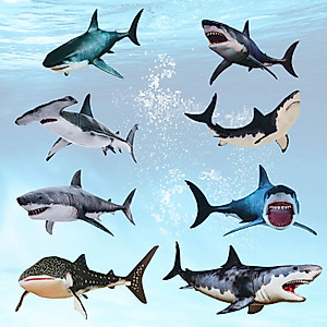 8 Pieces of Sharks Wall Stickers Peel and Stick Shark Wall Decals Sharks Removable Shark Decorations Sea Creature Animal Decal for Party Room Nursery Home Decor