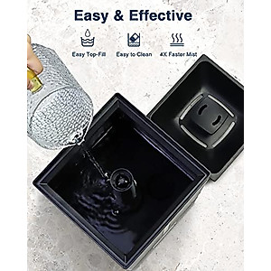 6L Humidifier, Cool Mist Humidifiers with Essential Oils Diffuser for Room, Home, Office, Baby Nursery, Plants, 360° Adjustable Mist Nozzle, Quiet, Auto Shut-off, Sleep Mode, Easy to Clean(Black)