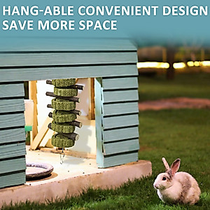 Arespark Pack-2 Rabbit Chew Toys, Organic Bunny Toys Apple Wood Branches/Timothy Hay Straw Cakes, Teeth Grinding Chew Treats for Guinea Pig Hamster Bunny Small Rodent, Juguetes para Conejos