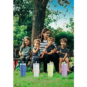 YOUEXPERT 14 oz Tumbler with Straw, Insulated Tumblers with Lid and Straw, 14 oz Cup Stainless Steel Mini Outdoor Sports Travel Tumblers - Pomelo