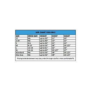 Amscan 849775 Girls Down The Rabbit Hole Costume, Large Size (12-14 Years Old), Multicolor, opensize