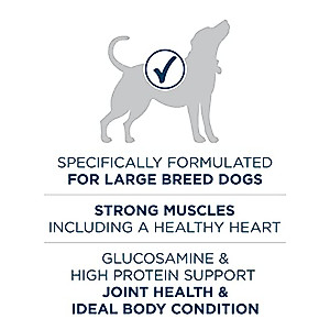 Purina ONE Plus Large Breed Adult Dog Food Dry Formula - 31.1 lb. Bag