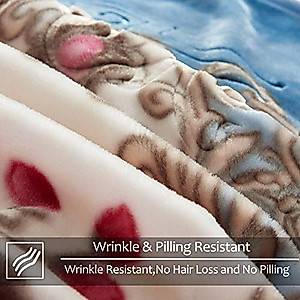 JYK Heavy Korean Faux Mink Fleece Blanket, 5 LB - 2 Ply Reversible 520GSM Silky Soft Plush Warm Blanket for Autumn Winter (Queen, Flower/Light Blue)