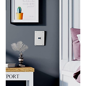 BERLAT USB 3.0 Keystone Jack Insert, USB Keystone Jack,USB to USB Adapters Female to Female Inserts Connector Interface Coupler Socket Adapter Port for Wall Plate Outlet Panel(White-6 Pack)