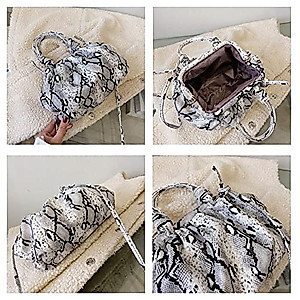 Women's Small Leather Rectangular Handbag Crossbody Purse Handbag Shoulder Bag Handle Satchel Purse Boho Shoulder Bag (sliver)