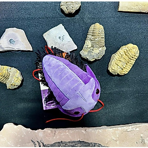 GIANT MICROBES Fuzzy Fossils Trilobite Plush - Learn About Fossils and Prehistoric Creatures, Unique Gift for Family, Friends, Scientists, Nature Lovers and Dinosaur Fans