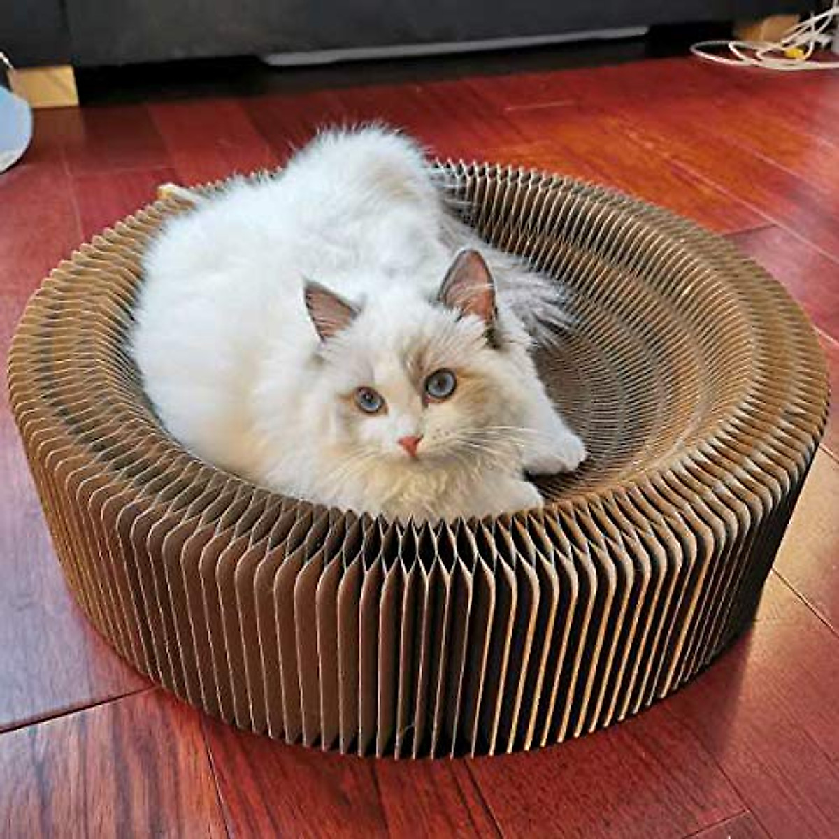 BobbyPet Cat Scratcher Lounge Bed - Collapsible Round Shape for Big cat