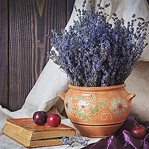 Timoo Dried Lavender Bundles 100% Natural Dried Lavender Flowers for Home Decoration, Photo Props, Home Fragrance, 2 Bundles Pack