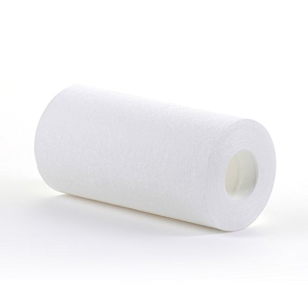 Hydronix SDC-25-0505 NSF Sediment Water Filter 2.5" X 5", 5 Micron