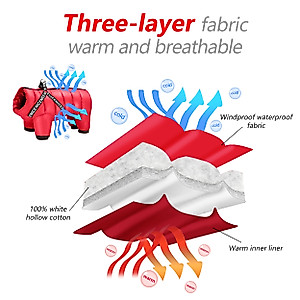 Didog Winter Small Dog Coats,Waterproof Jackets with Harness & D Rings,Warm Zip Up Cold Weather Coats for Puppy & Cats Walking Hiking,Red,Chest: 15"