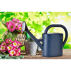 Watering Can 1 Gallon for Indoor Plants, Garden Watering Cans Outdoor Plant House Flower, Gallon Watering Can Large Long Spout with Sprinkler Head (Blue)