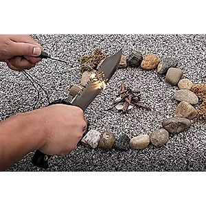 Szco Supplies 15” Rite Edge USA Survival Knife Saw-Back Outdoor Hunting, Camping Knife with Firestarter, Sharpener and Nylon Sheath Black, 211539