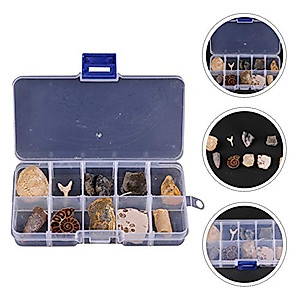 Hemobllo Fossil Specimens Collection Set, 10PCS Paleontology Fossil Specimens, Trilobite Amber Fossil Educational Science Kits, Creative Science Decoration Stone