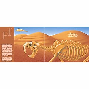 B Is for Beaver : An Oregon Alphabet (Alphabet Series)