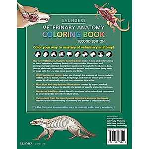 Veterinary Anatomy Coloring Book