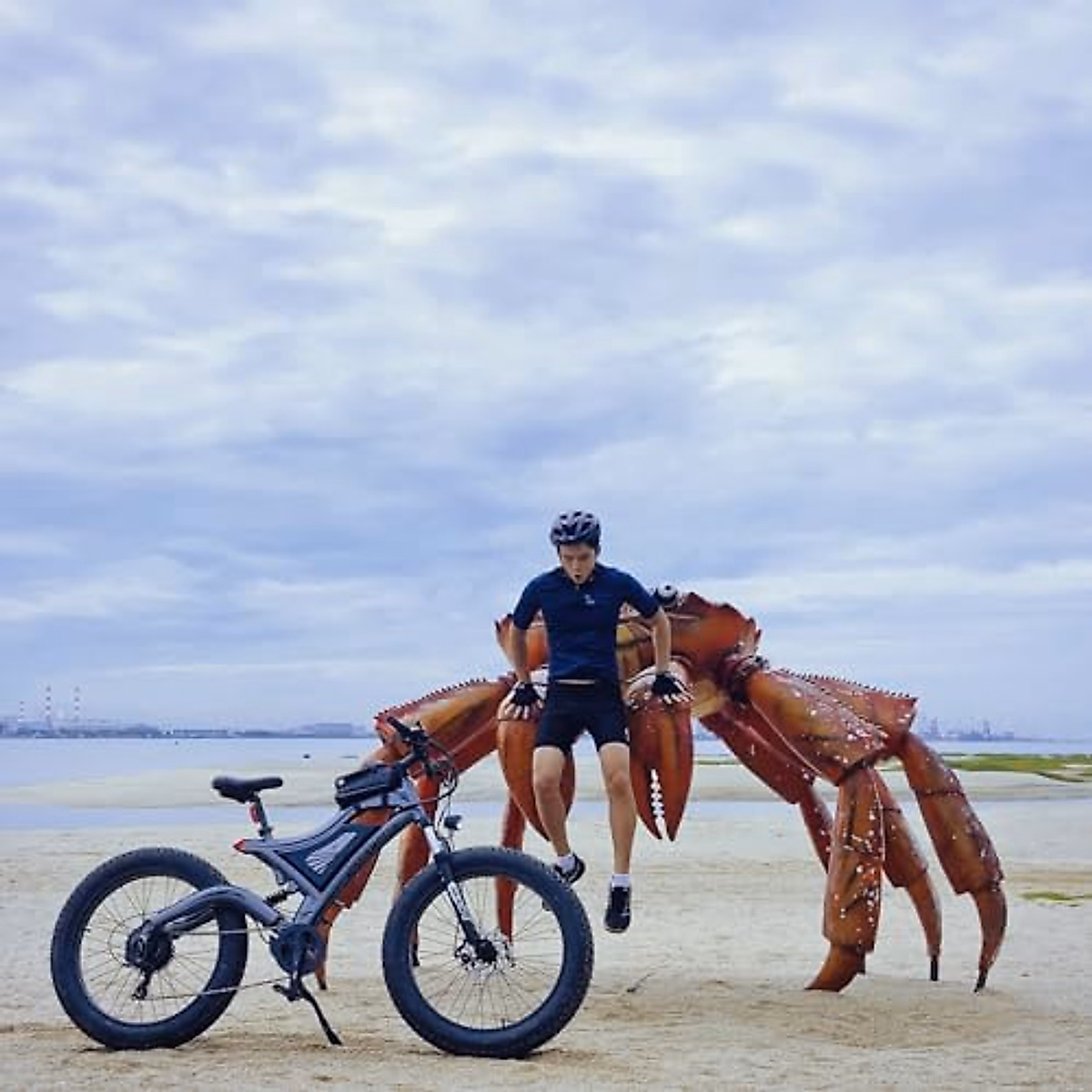 aostirmotor 1000W Peak Full Suspension 4.0" Fat Tire Electric Bikes for Adults All Terrain E-Bike 48V 15AH Removable Battery Electric Mountain Bike 28Mph Electric Beach Bicycles 29+ Miles Long Range