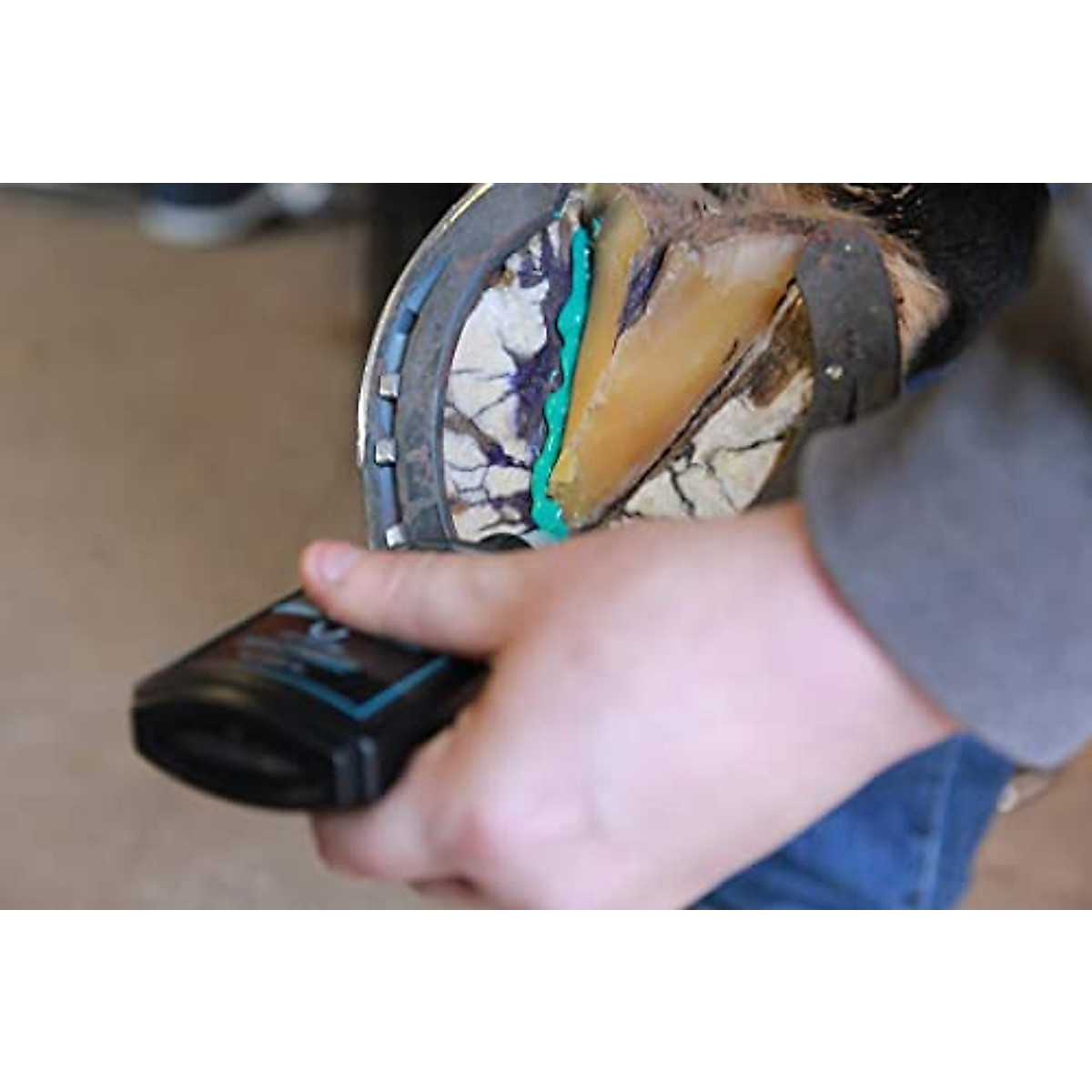 Therazure Zomp Liquid Hoof Thrush and White Line Treatment for Horses: Effective for Thrush Relief and Prevention on All Hooved Animals