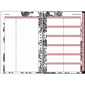 Blue Sky 2023-2024 Academic Year Weekly and Monthly Planner, 5" x 8", Flexible Cover, Wirebound, Analeis (130608-A24)