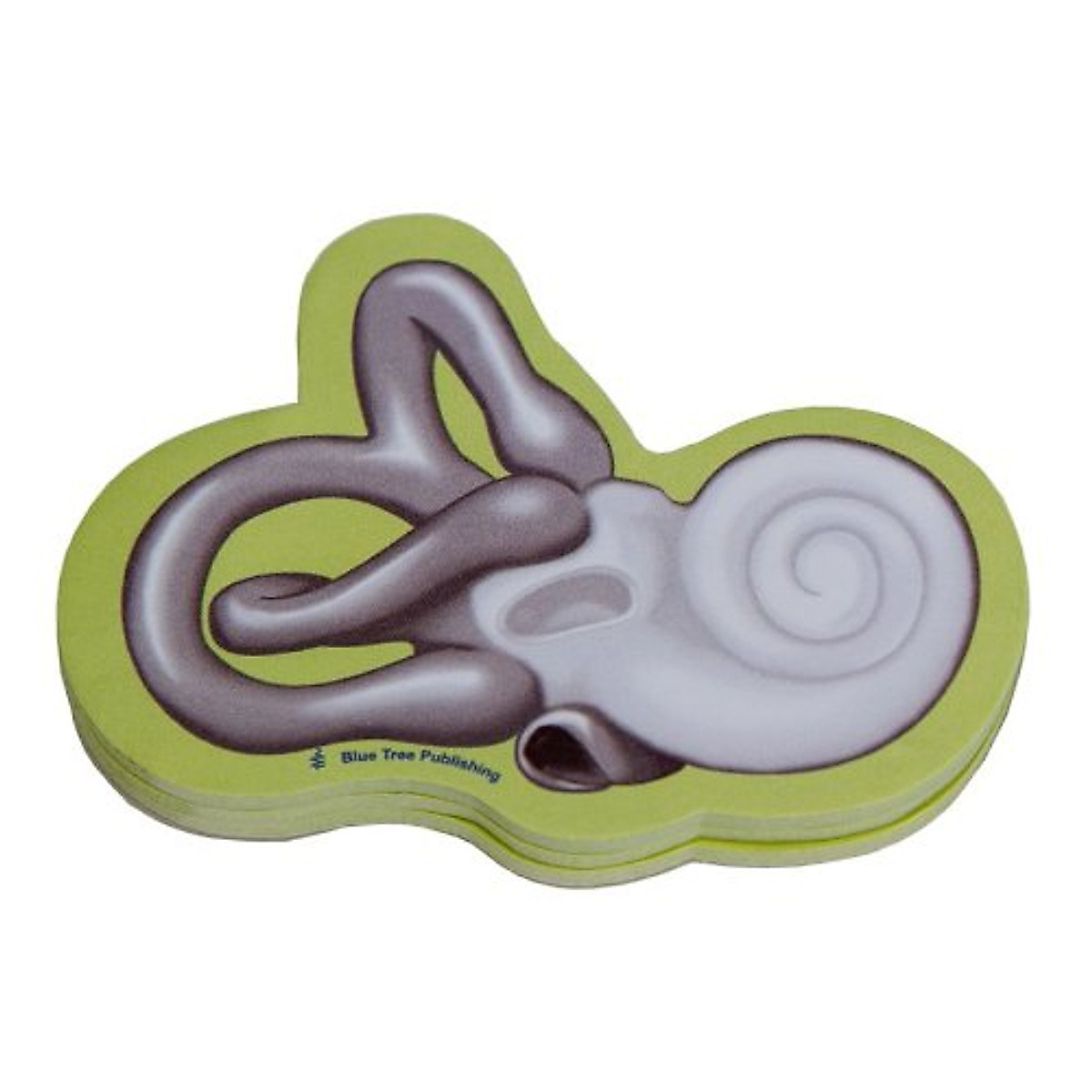 Hearing Gift Box Collection 2, 12 Pack for Audiologist, Students or Hearing Professional