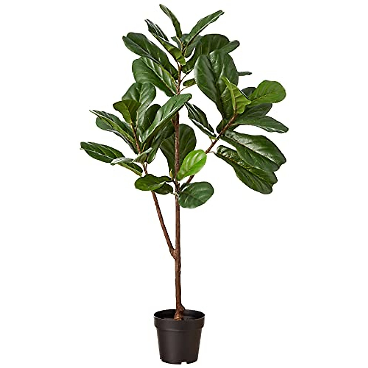 Amazon Brand - Stone & Beam Artificial Fiddle Leaf Fig Tree with Plastic Nursery Pot, 4.3 Feet (51 Inches) / Medium, Indoor