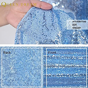QueenDream Baby Blue Christmas Backdrop Curtains 4 Pieces 2FTx8FT Sequin Photography Background Curtain for Party Decoration