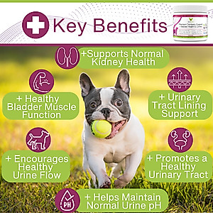EcoBark Natural Urinary Tract Cranberry Supplements for Dogs - Bladder Health & Kidney Support for Dogs - UTI Relief - Dog Bladder Control Chews - Dog Cranberry Soft Chews for Dog Incontinence Support